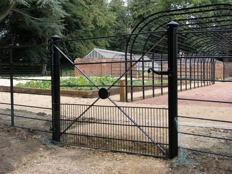 Rabbit proof steel gate - Ed Brooks Ed Brooks